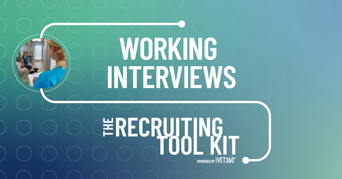 Working & Observational Interview Guidelines For Your Vet Hospital