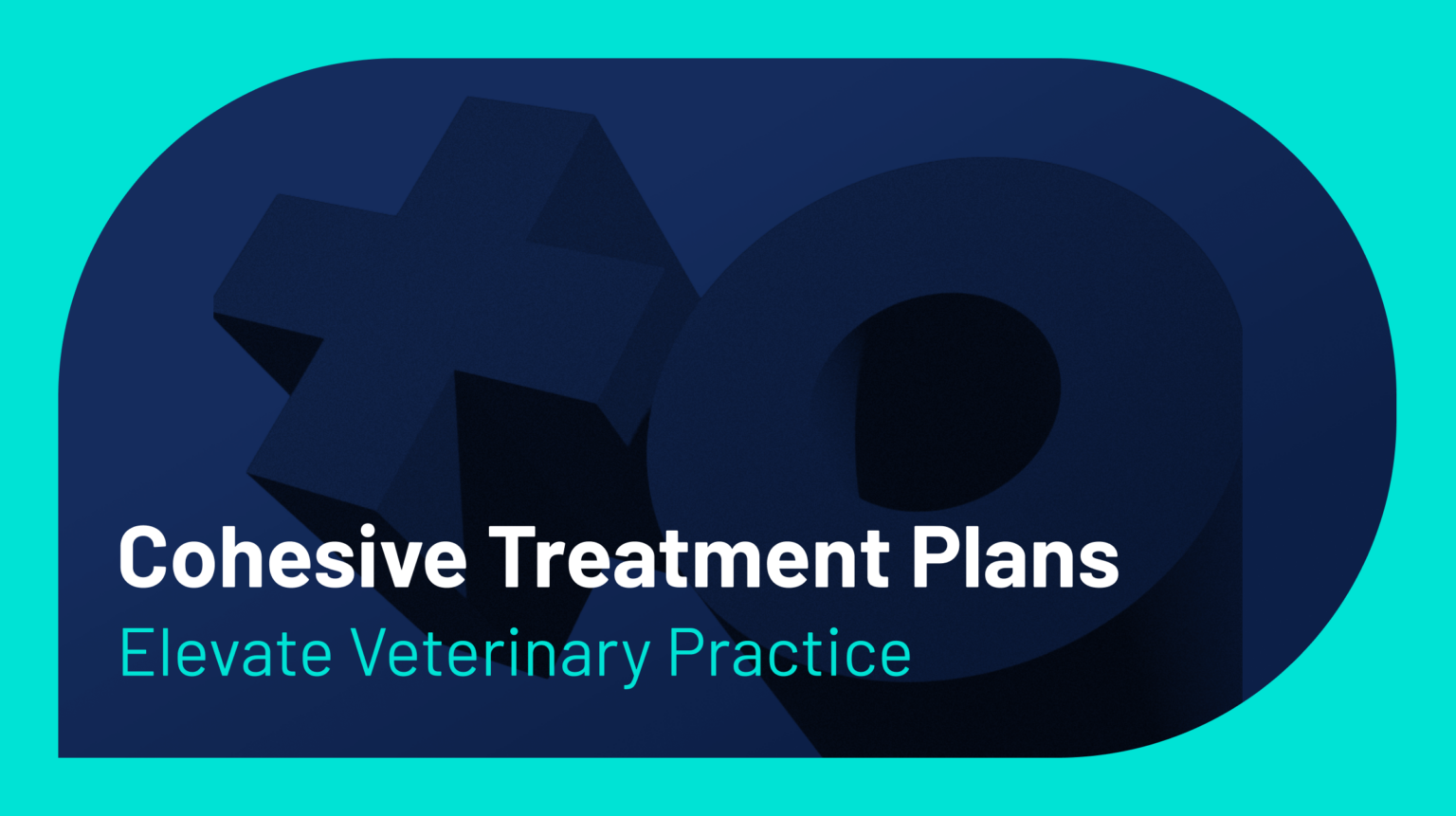 How Cohesive Treatment Plans Elevate Veterinary Practice
