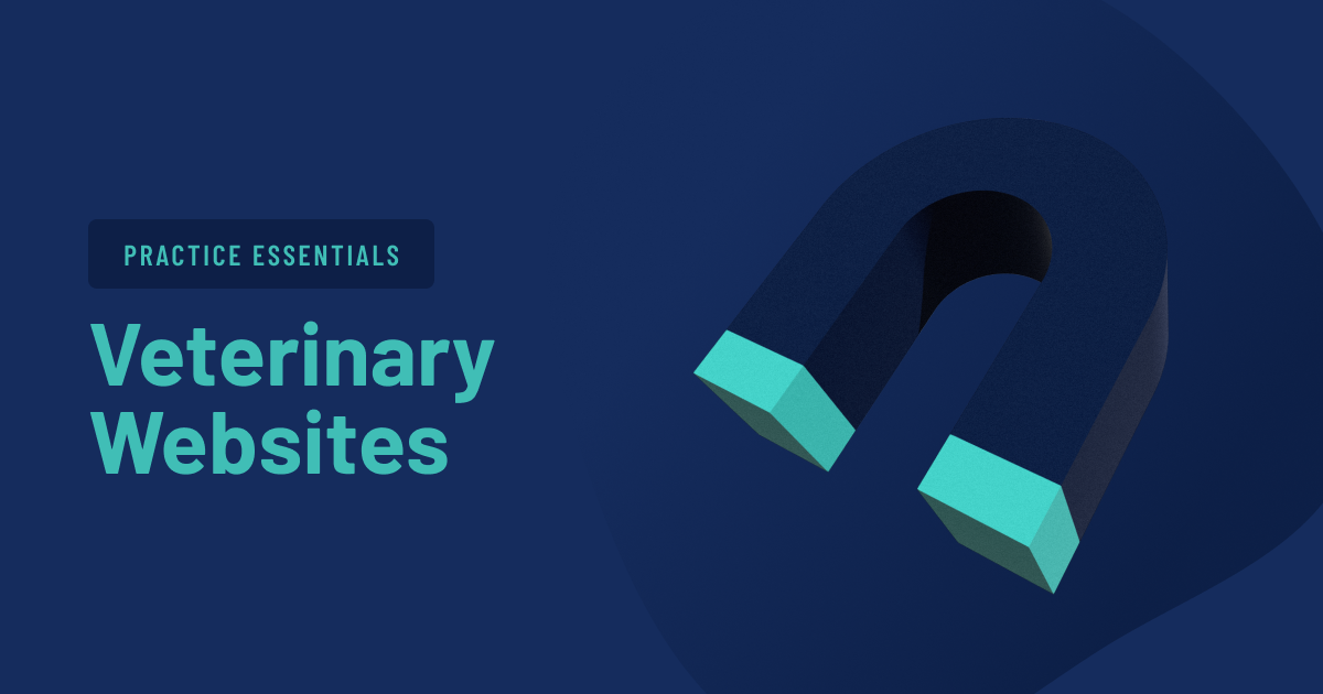 The Best Custom Veterinary Website Design & Development